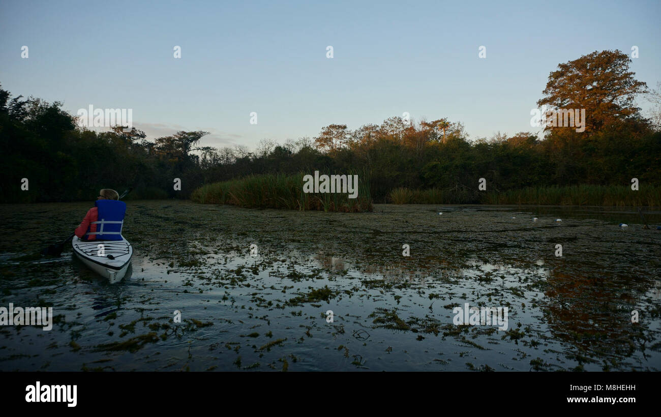 Turner river florida hi-res stock photography and images - Alamy