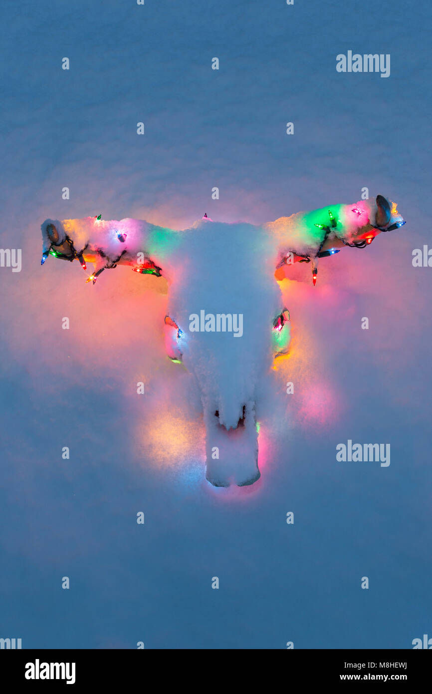 Multi horns hi-res stock photography and images - Alamy