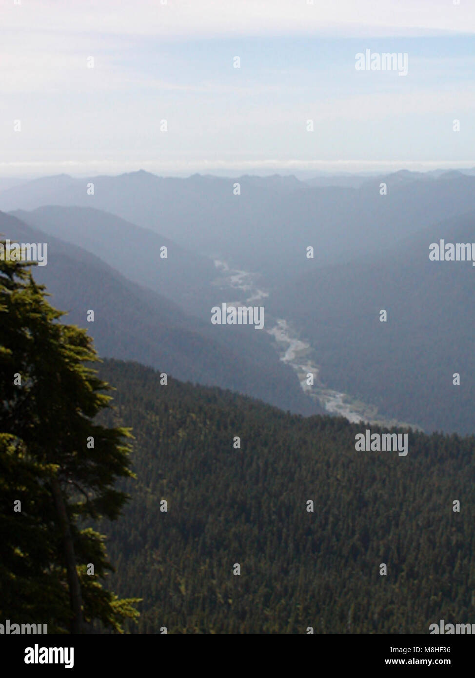 Queets River from Skyline trail Stock Photo - Alamy