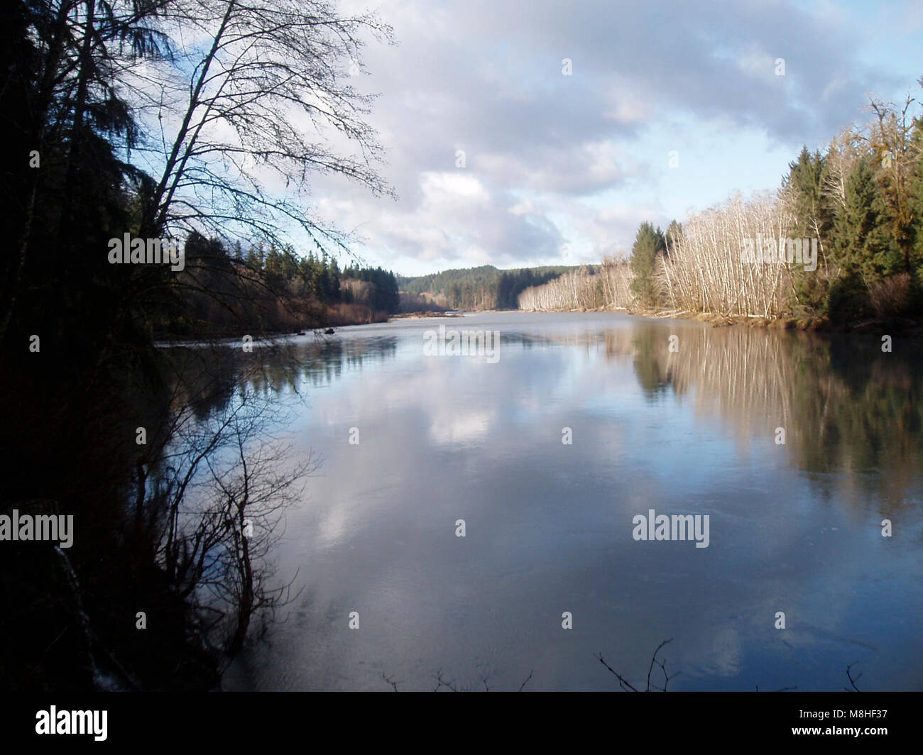 Queets river scenic Stock Photo - Alamy