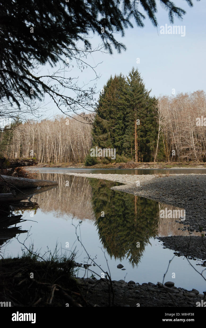 queets river scenic reflection Stock Photo - Alamy