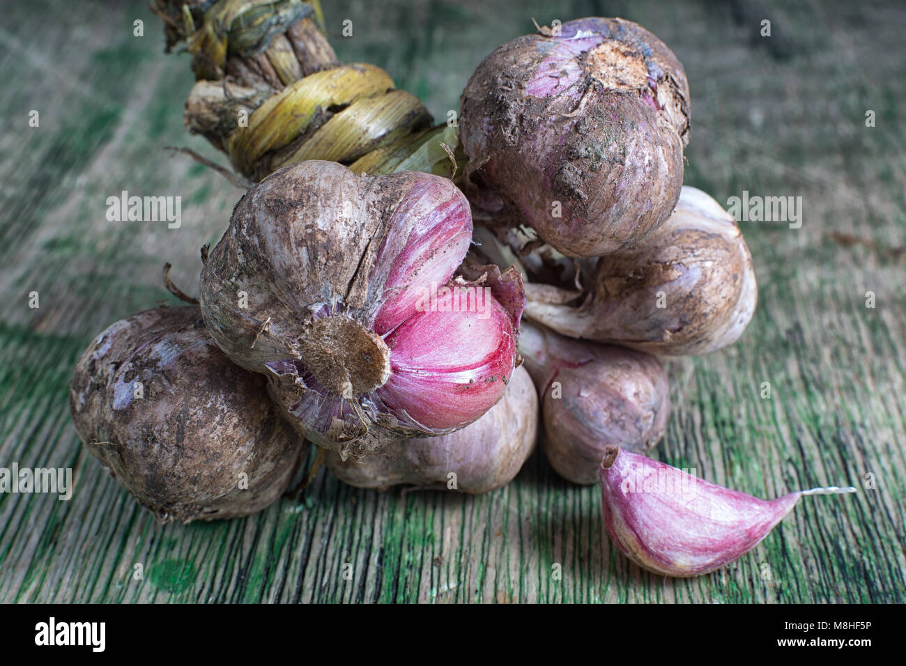 organic garlic variety in Ecuador on rustic surface Stock Photo - Alamy