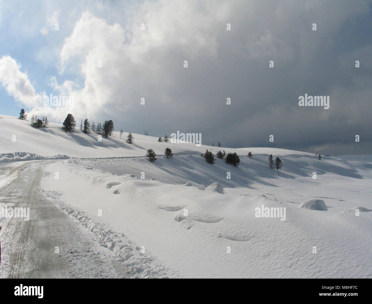 Plowing along hi-res stock photography and images - Alamy