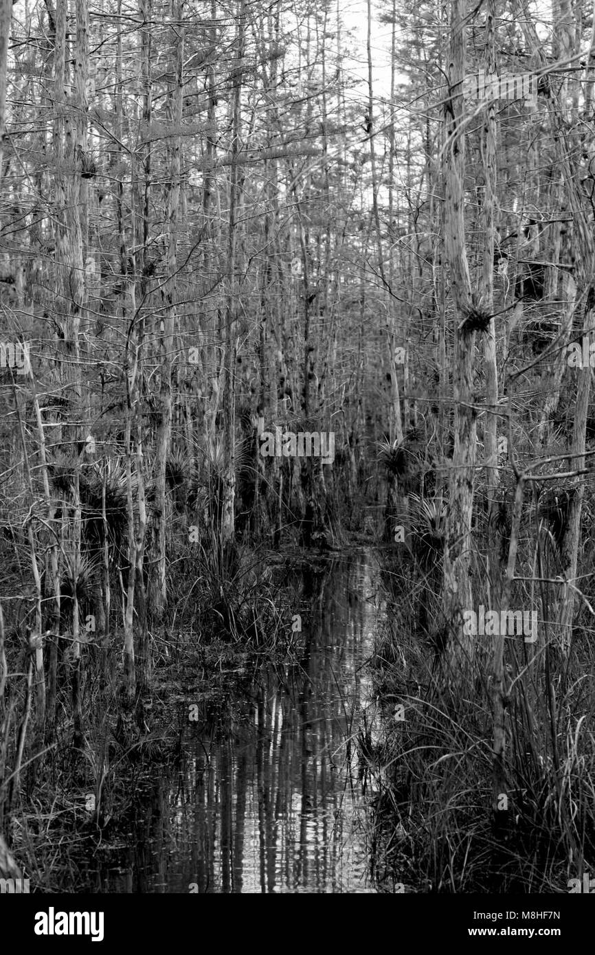 Robert's Lake Trail Stock Photo - Alamy