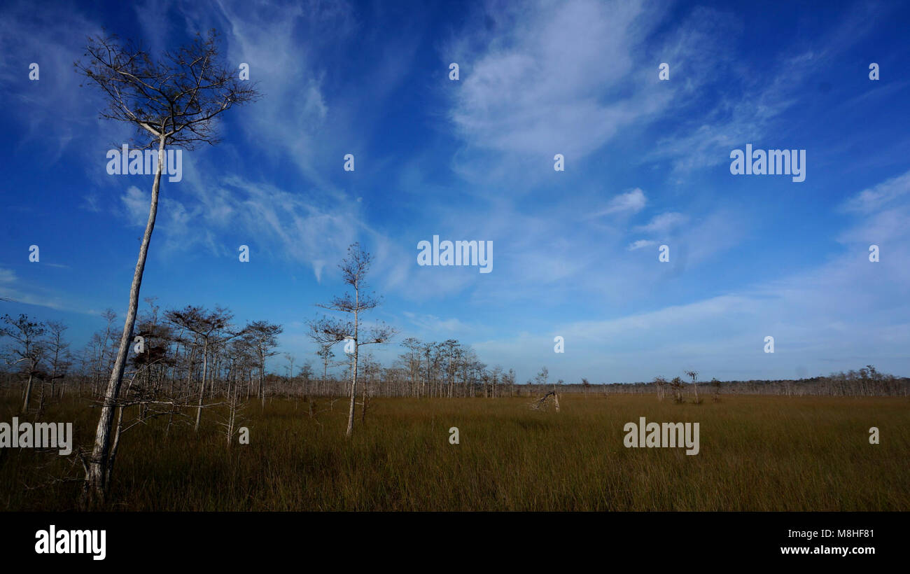 Robert's Lake Trail Stock Photo - Alamy
