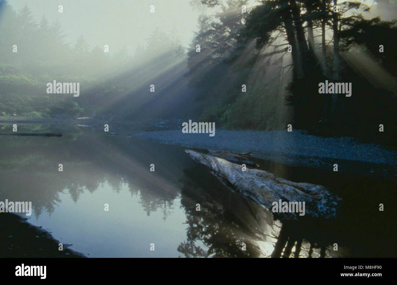 Ruby Beach Sunrise sunlight fog Stock Photo - Alamy
