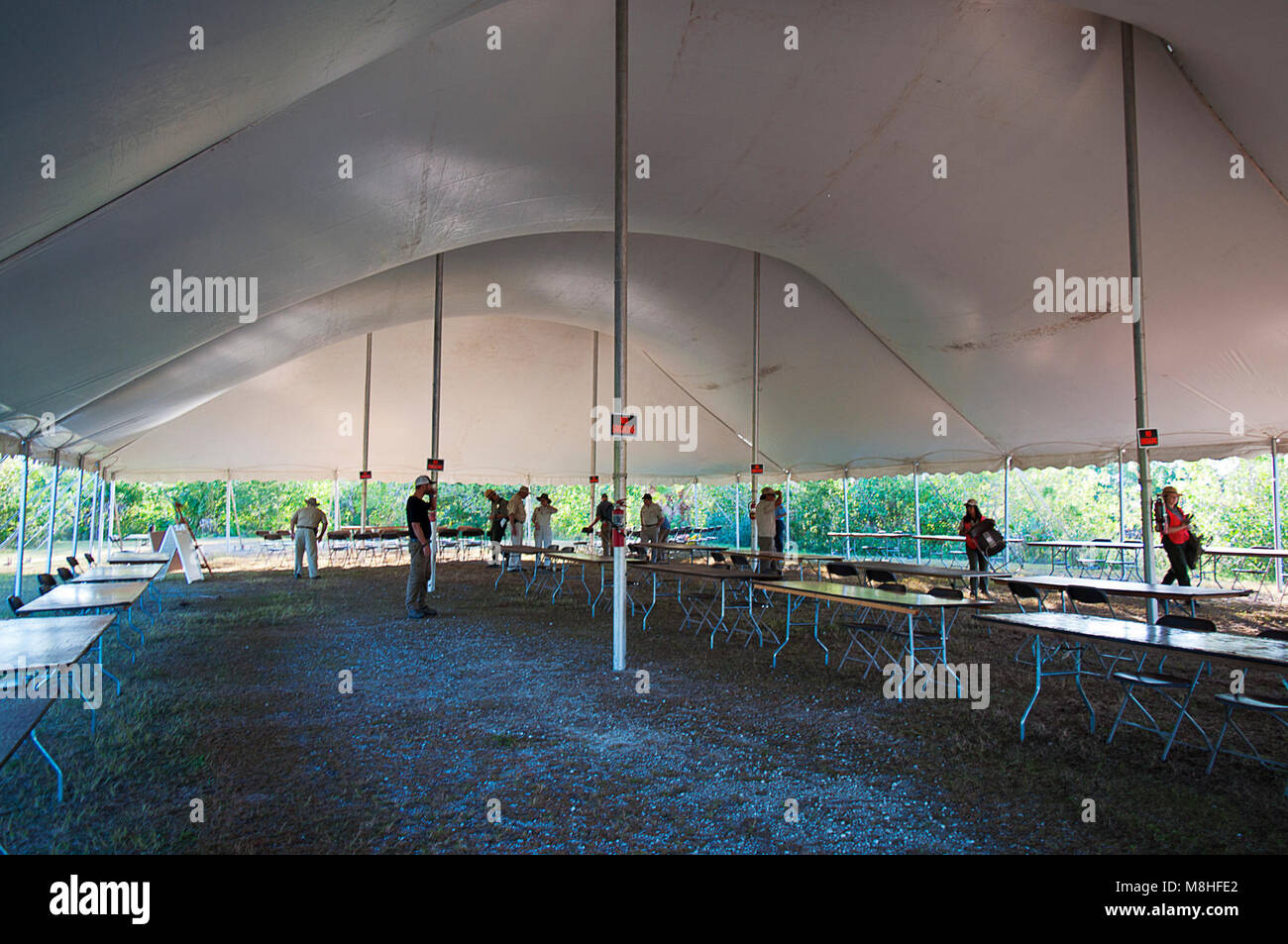 Setting up inside the big tent at the Swamp Stock Photo - Alamy