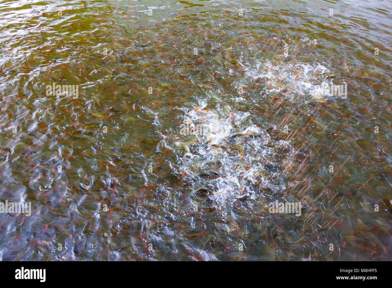 Blured mouth hi-res stock photography and images - Alamy