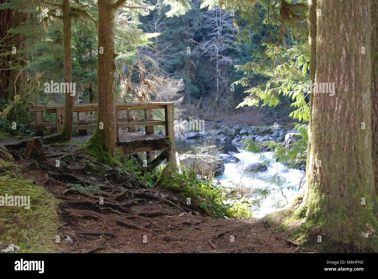 Sol Duc river overlook salmon cascades Stock Photo - Alamy