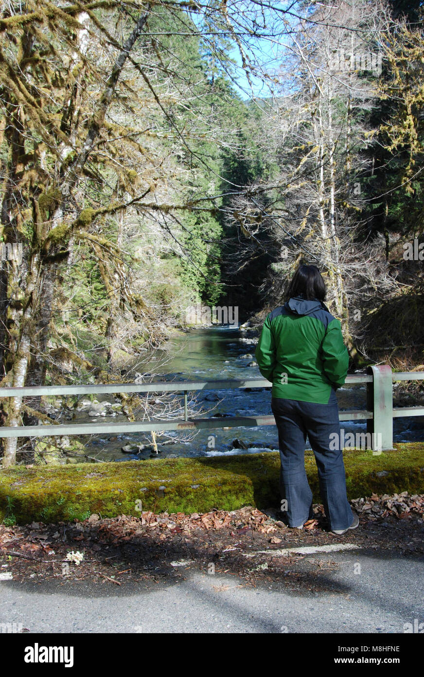Sol Duc visitor bridge Stock Photo - Alamy