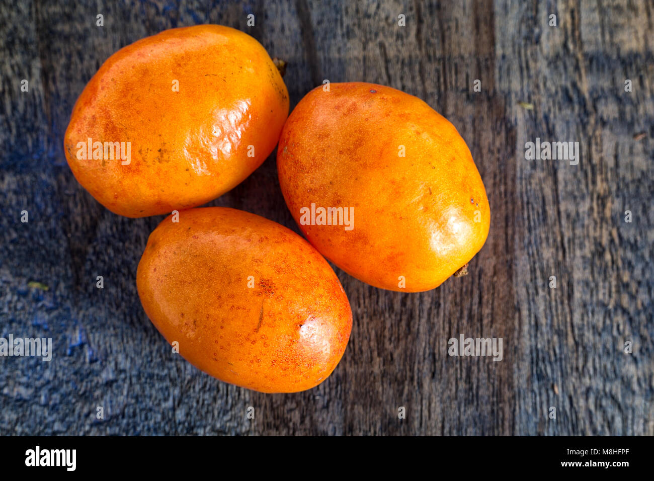 Hog plum hi-res stock photography and images - Alamy