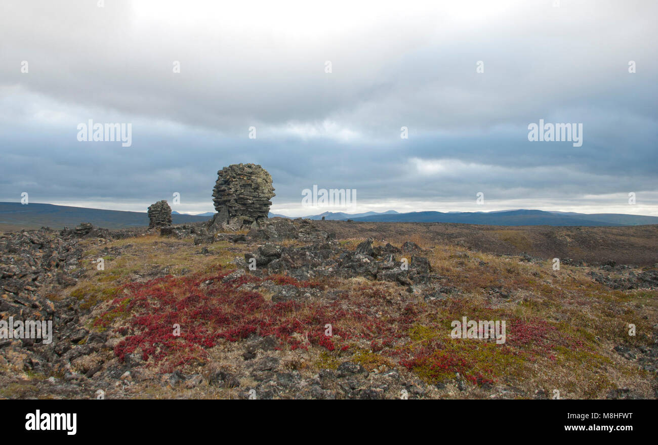 Stone structure and bearberry. Fall colors in the ground cover are ...