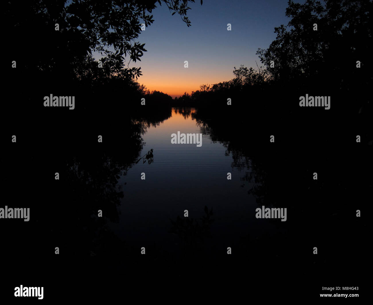 Big cypress creek hi-res stock photography and images - Alamy