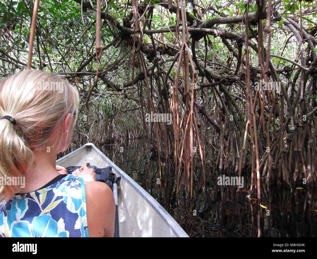 Turner River Mangrove Tunnel Stock Photo - Alamy