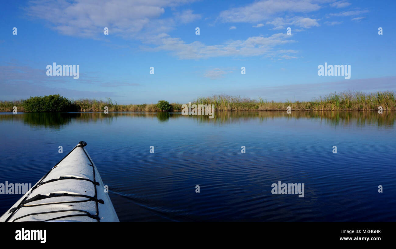 Turner river florida hi-res stock photography and images - Alamy