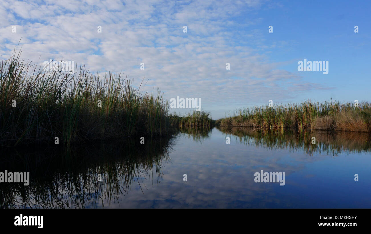 Turner River marsh Stock Photo - Alamy