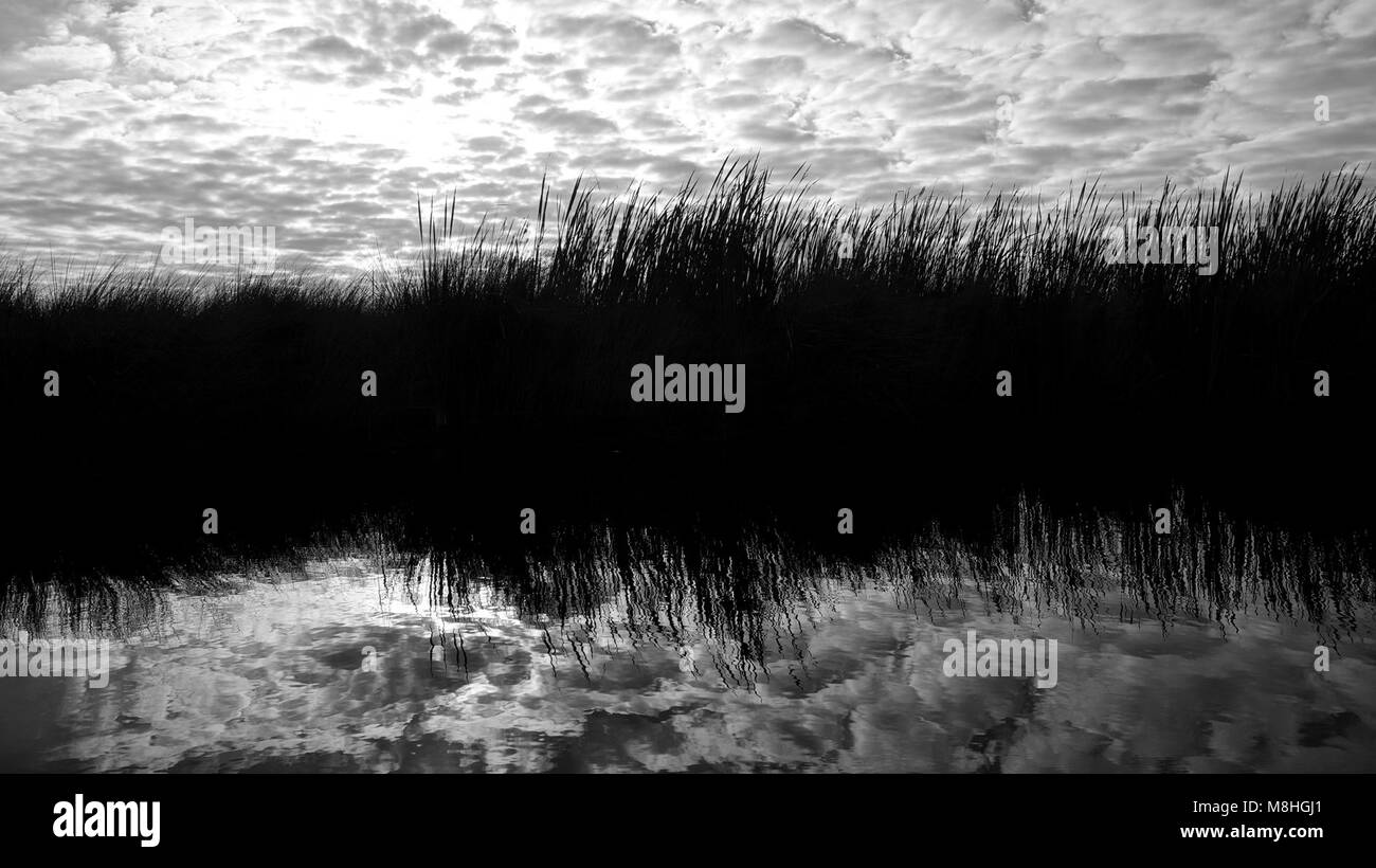 Turner River marsh Stock Photo - Alamy