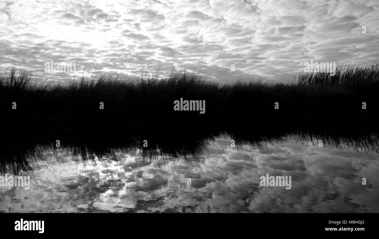 Turner River marsh Stock Photo - Alamy