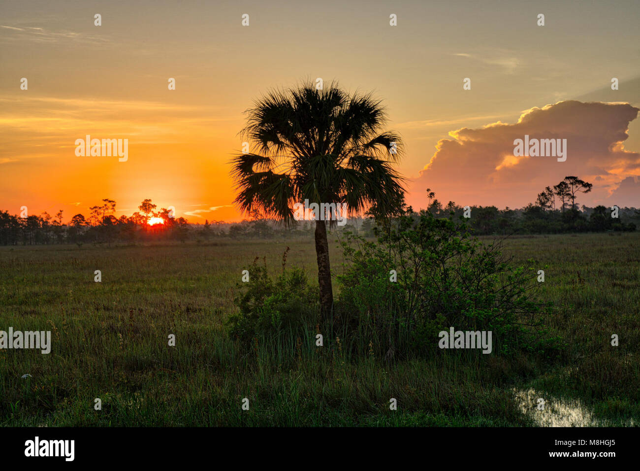 Turner River Road close to Concho Billie Stock Photo - Alamy