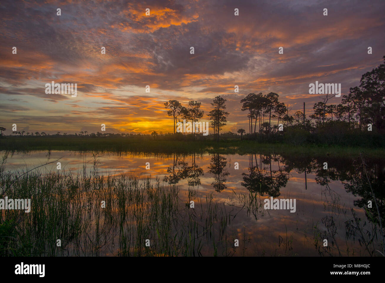 TURNER RIVER ROAD Stock Photo - Alamy