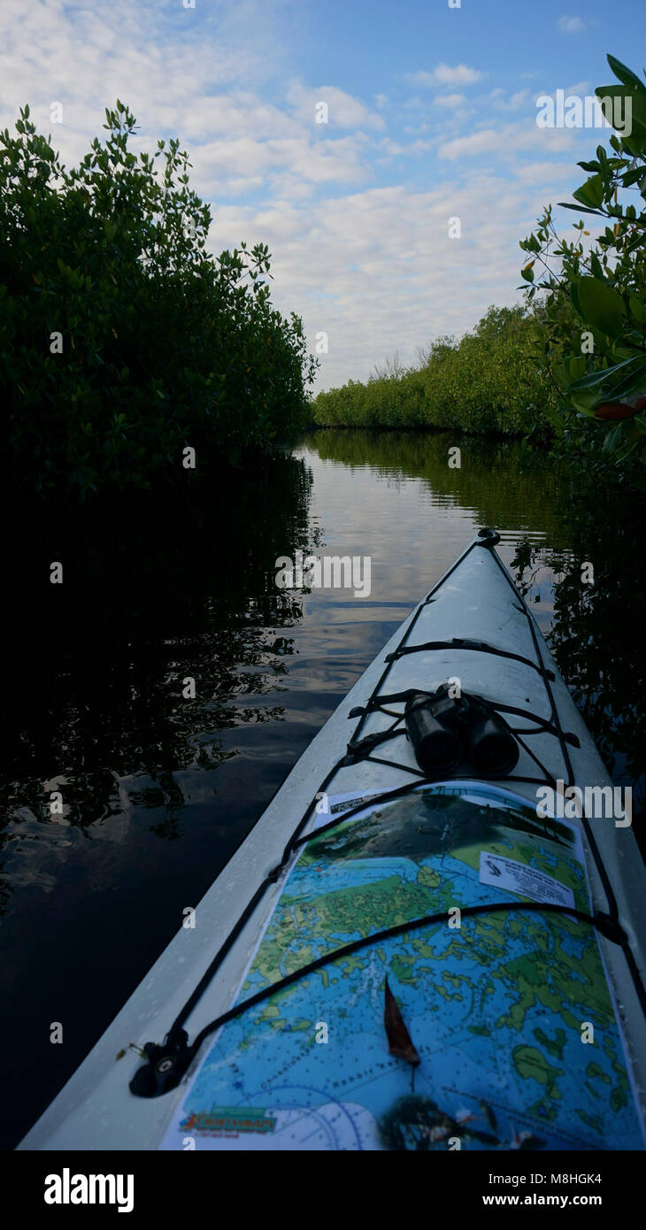 Turner river florida hi-res stock photography and images - Alamy
