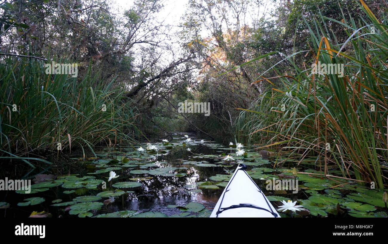 Turner river florida hi-res stock photography and images - Alamy