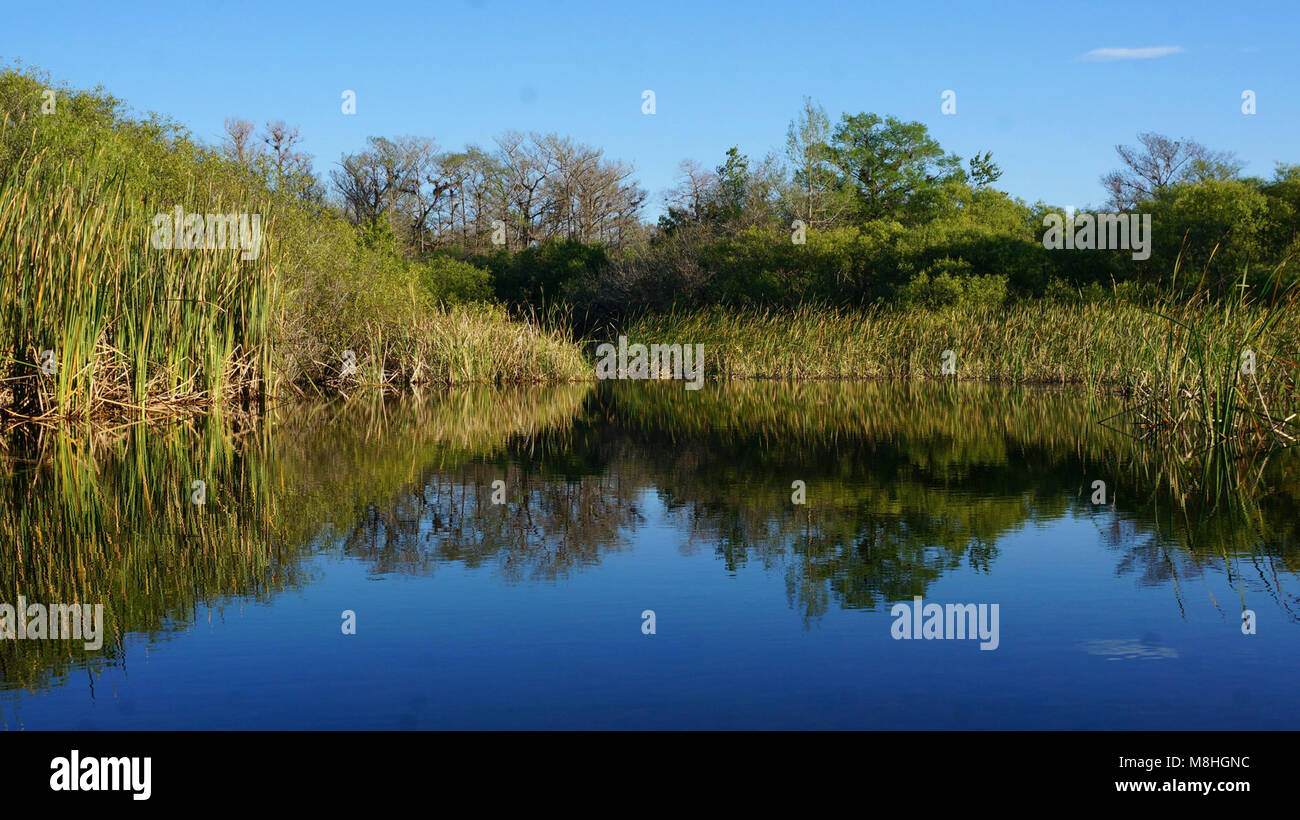 Upper Pool in Turner River Stock Photo - Alamy