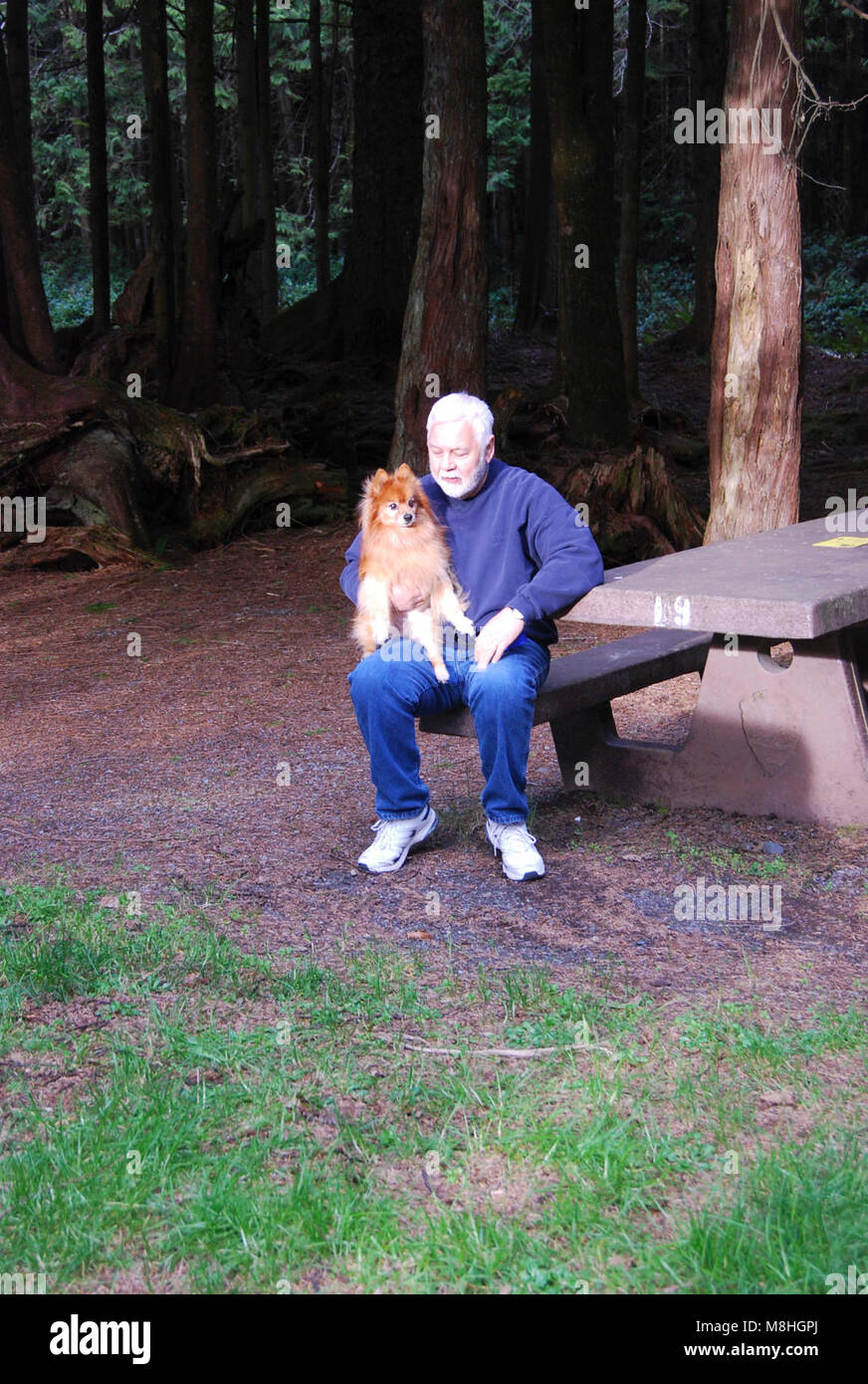 visitor dog campsite kalaloch campground camping Stock Photo - Alamy