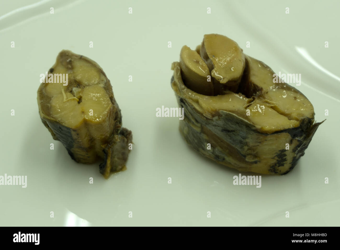 Canned pilchard fish on a plate isolated white background Stock Photo ...
