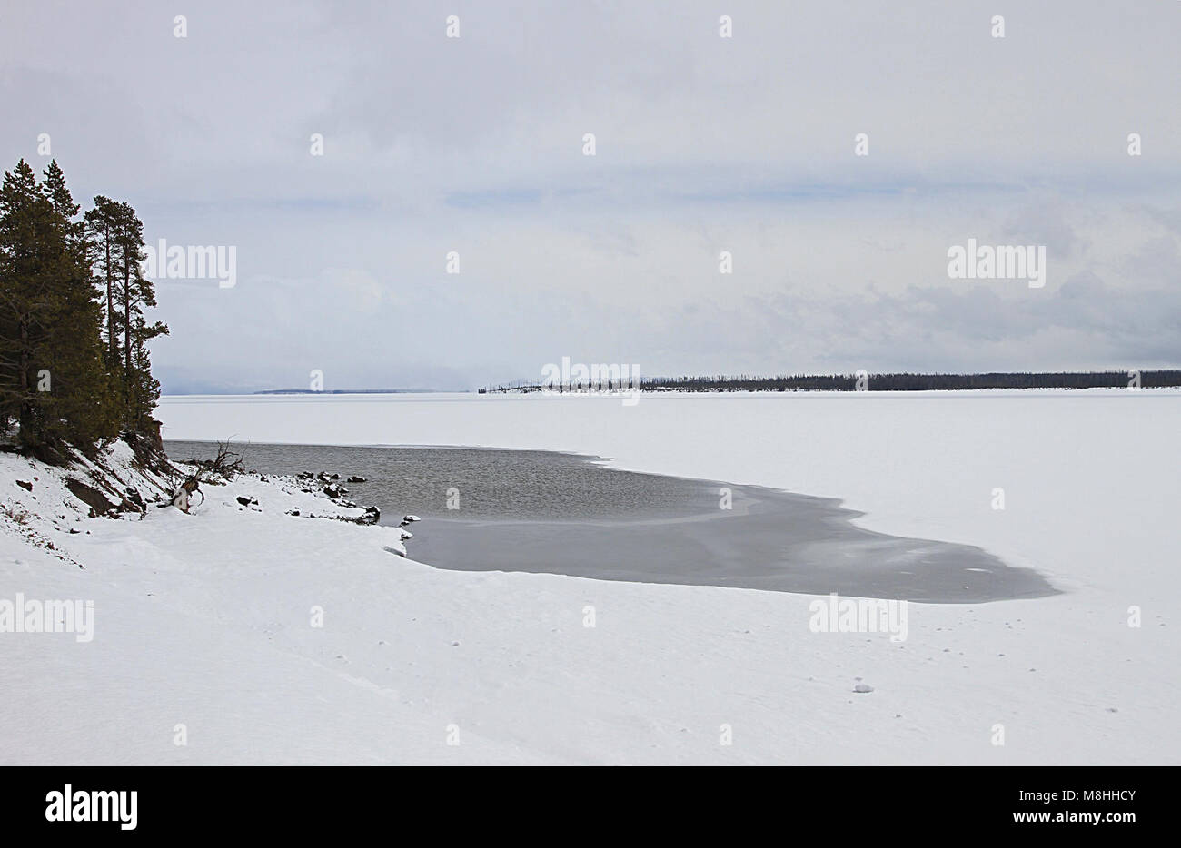Yellowstone Lake at Pumice Point. Yellowstone Lake at Pumice Point ...