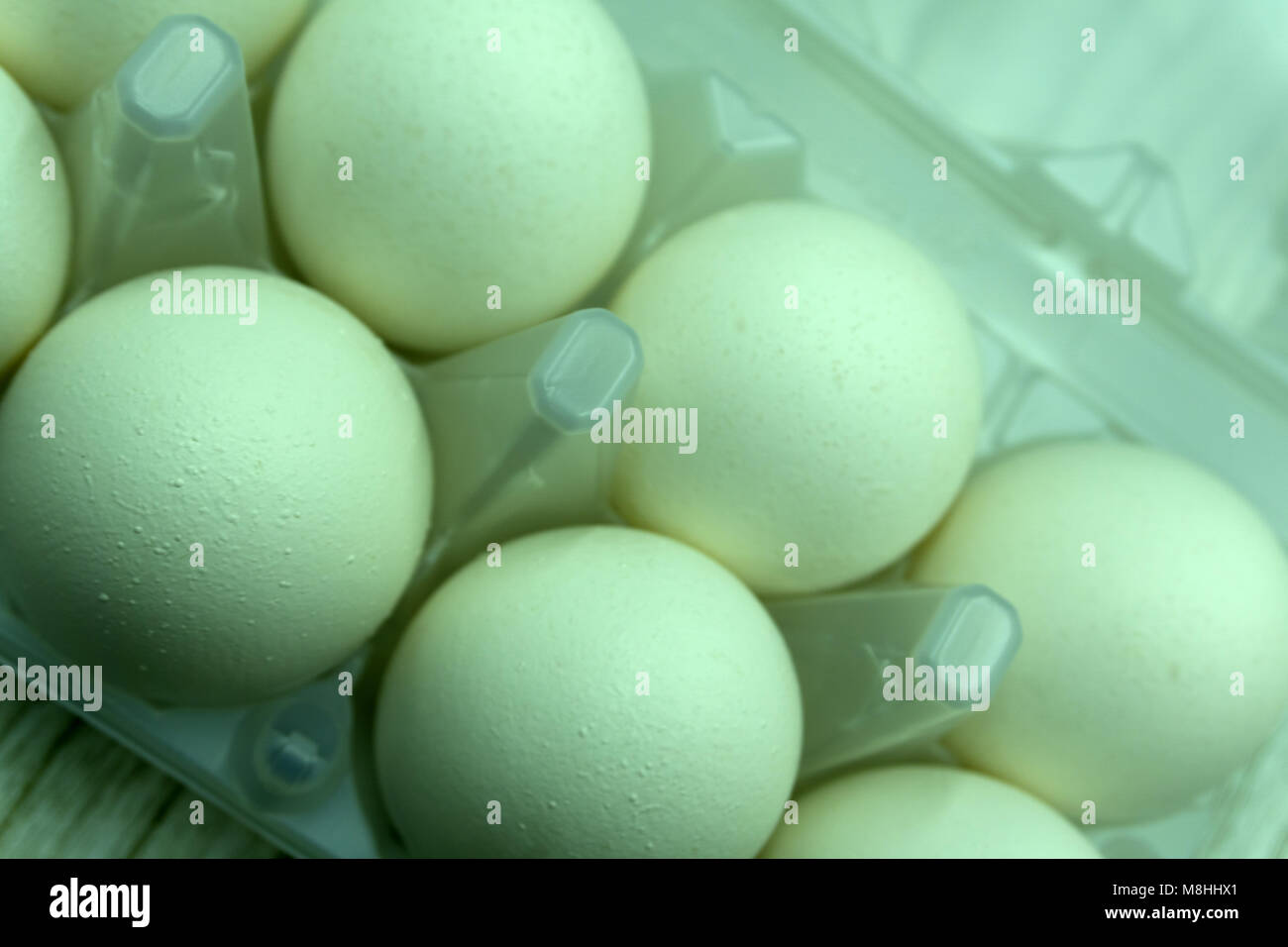 30 farm fresh white eggs in a tray isolated with clipping path Stock ...