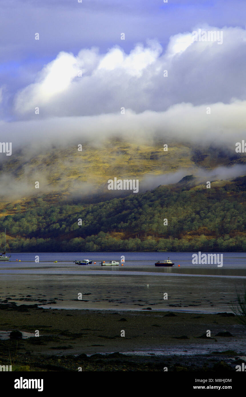 Airds hi-res stock photography and images - Alamy