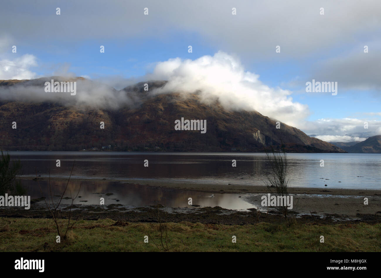 Airds hi-res stock photography and images - Alamy