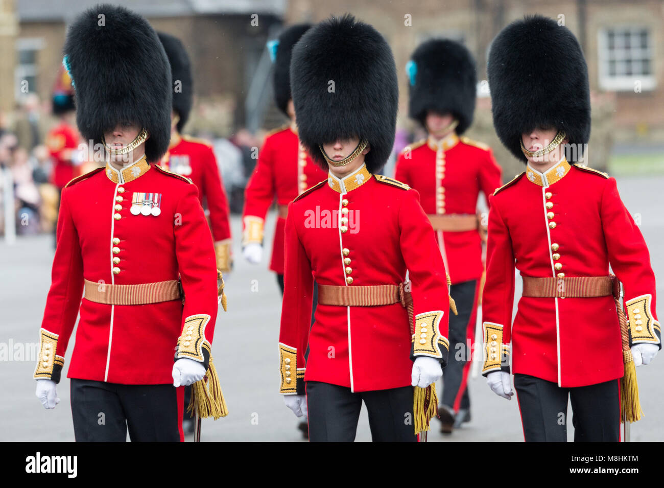 Guardsmen of 1st battalion the irish guards with irish guards hi-res ...