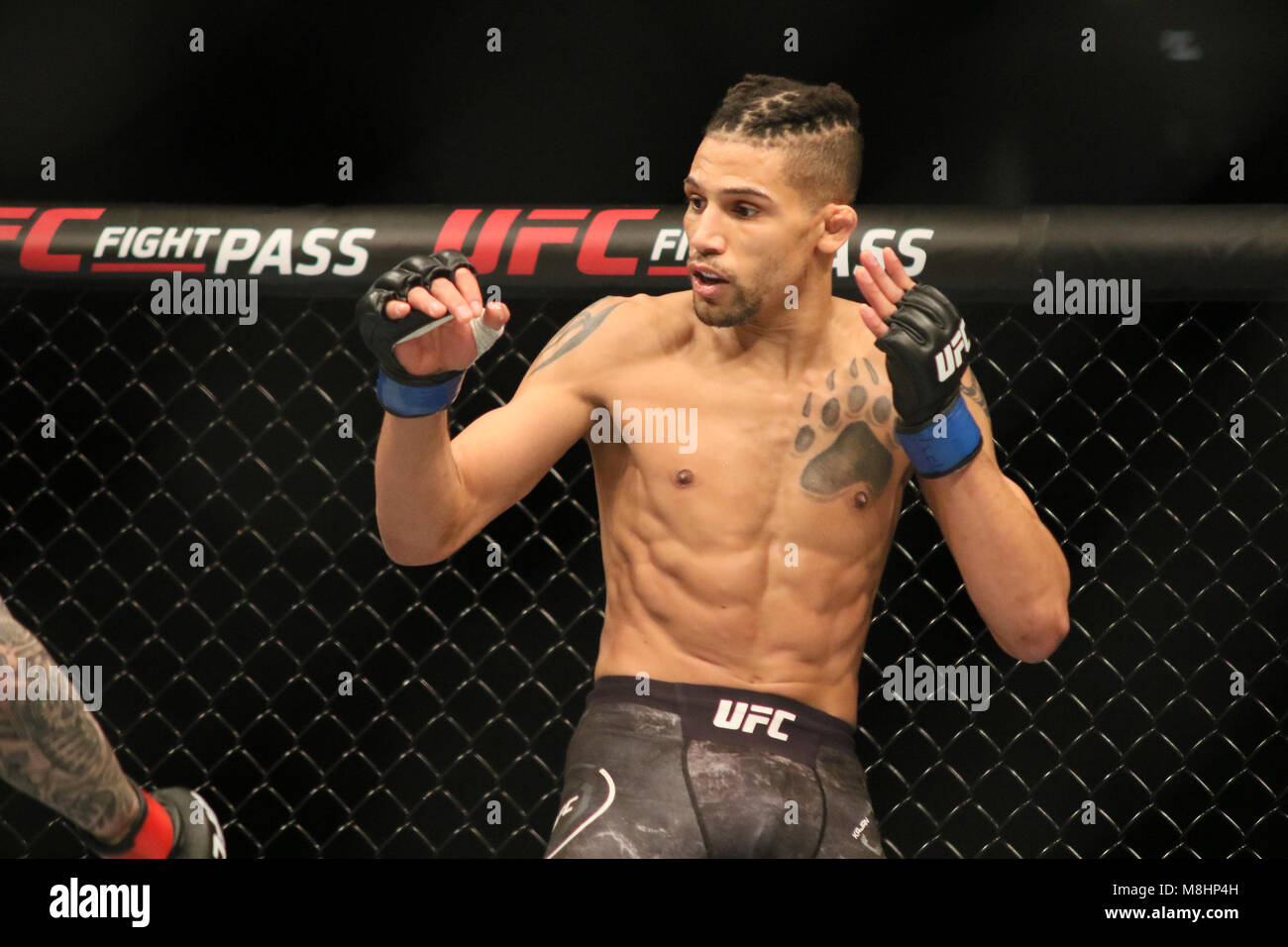 Kajan Johnson (Blue Corner) defeats Stevie Ray (Red Corner) via judges ...