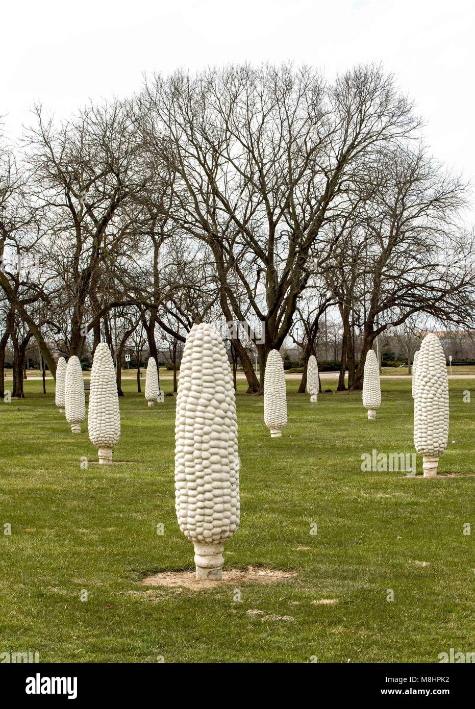 Dublin, Ohio, USA. 17th Mar, 2018. Field of Corn (With Osage Orange ...