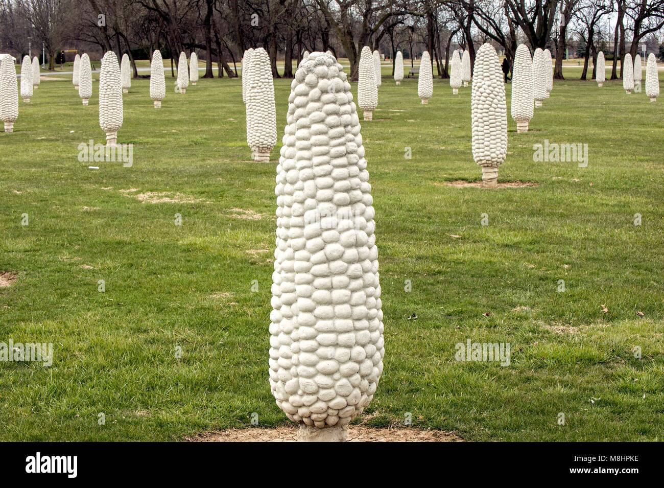 Dublin, Ohio, USA. 17th Mar, 2018. Field of Corn (With Osage Orange ...