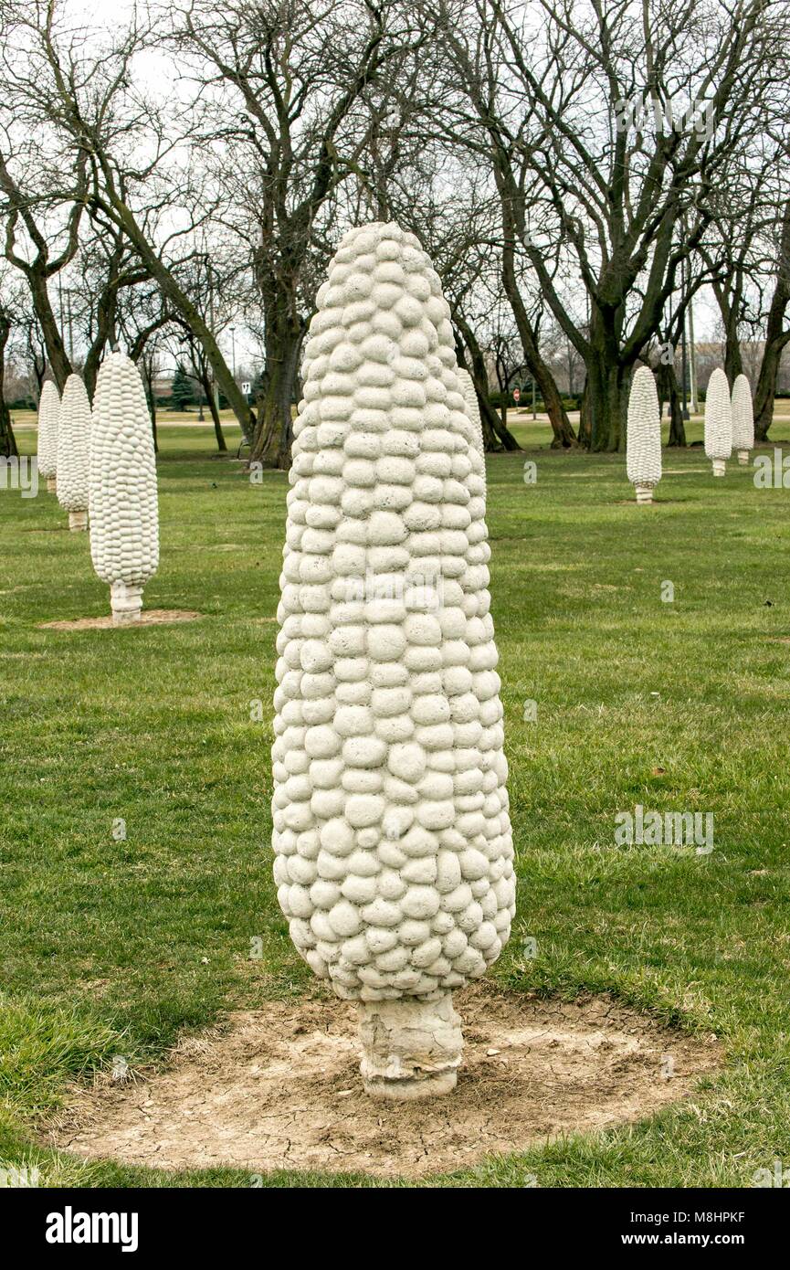 Dublin, Ohio, USA. 17th Mar, 2018. Field of Corn (With Osage Orange ...