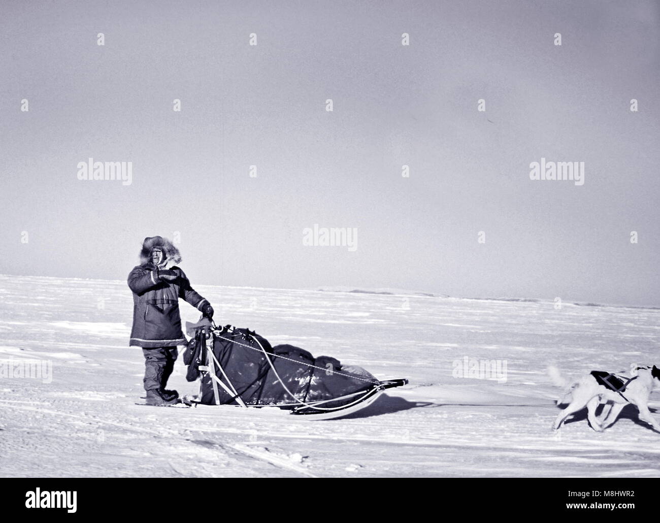 Alaska, USA. 12th Mar, 1988. Joe Redington, founder of the Iditarod ...