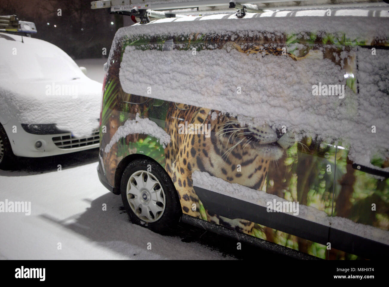 The beast car hi-res stock photography and images - Alamy