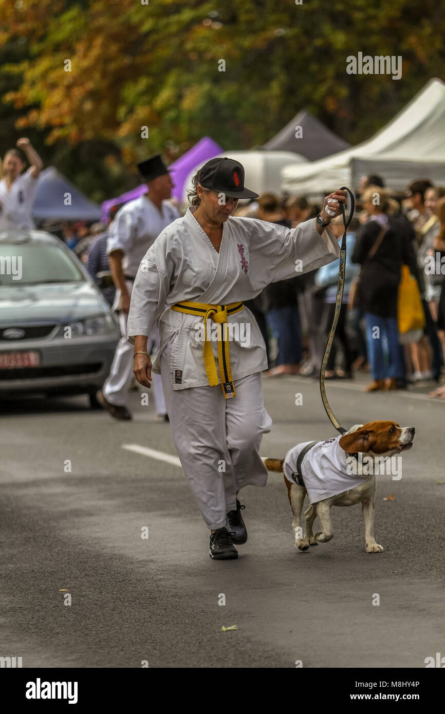 Victoria, Australia. 18th March 2018. The Ballan Autumn Festival is an ...