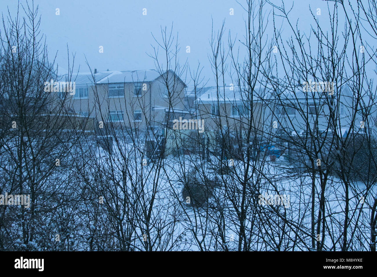 Blizzard like hi-res stock photography and images - Alamy