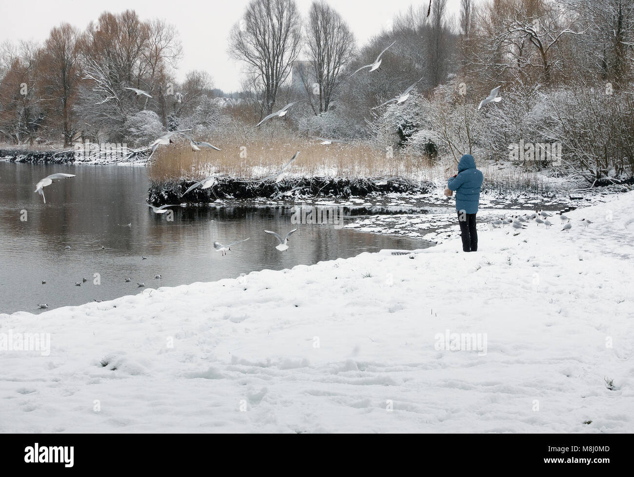 Riverside Park covered in snow after the storm 'beast from the east' in ...