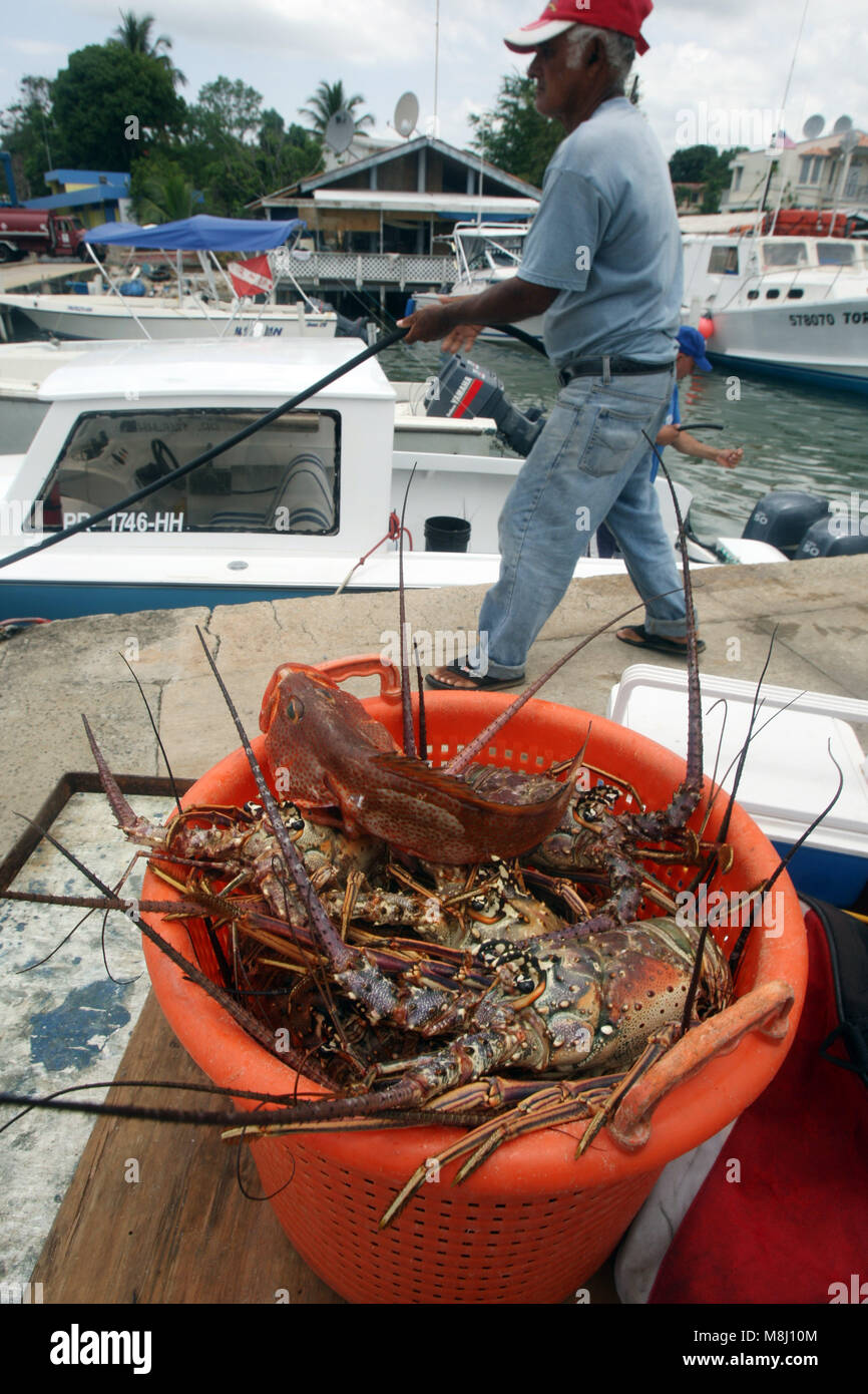 Cabo Rojo, Puerto Rico. 12th July, 2008. PESCA OESTE JRP 07/12/08 Cabo ...