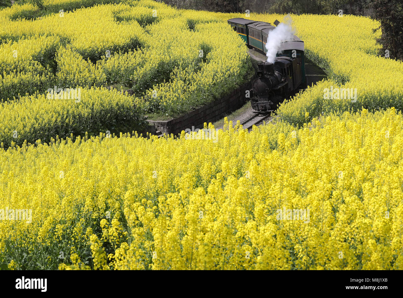 Beijing, China. 12th Mar, 2018. A steam locomotive runs in a cole ...