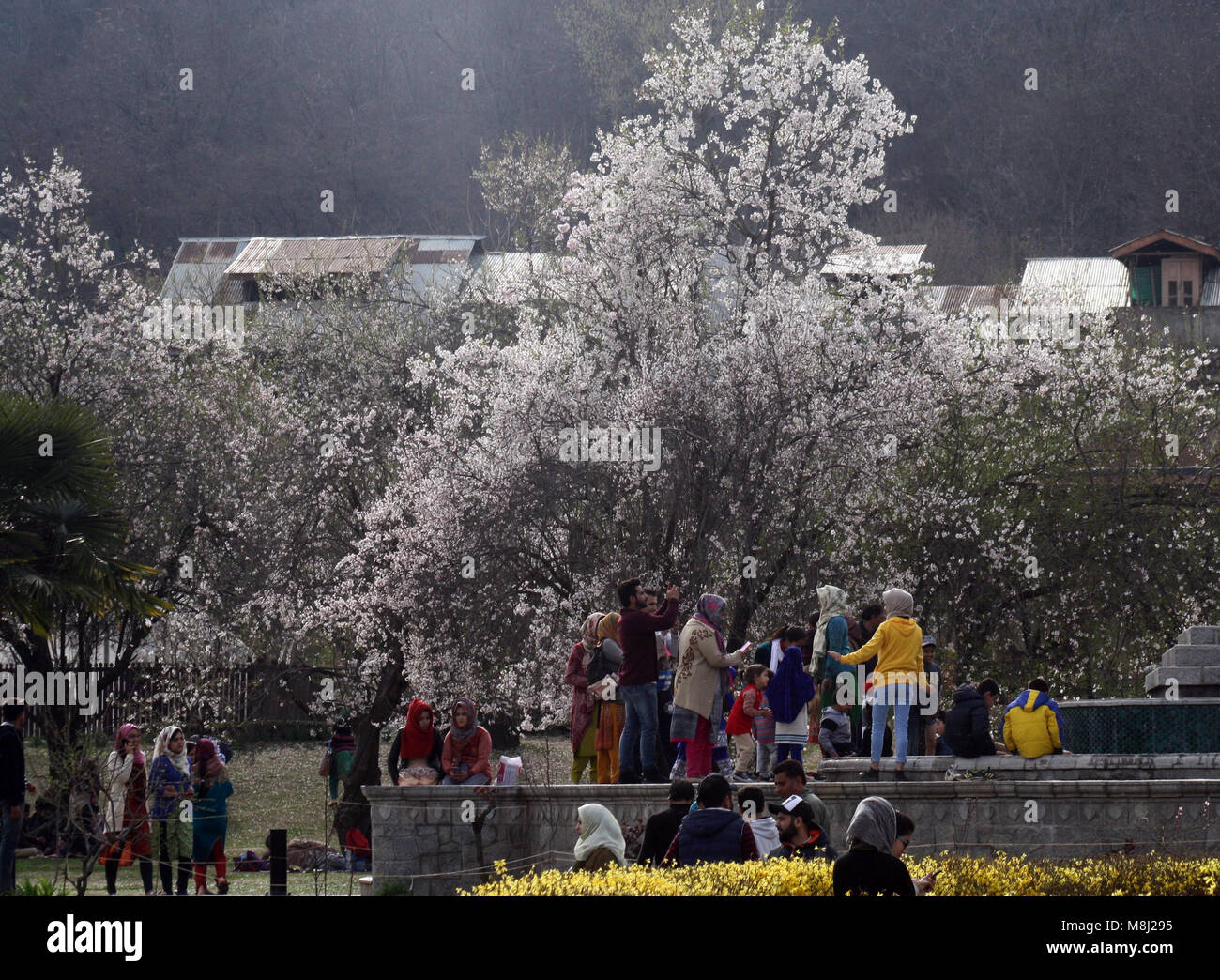 Srinagar, Indian Administered .KASHMIR 18.MARCH.Kashmiri people ...