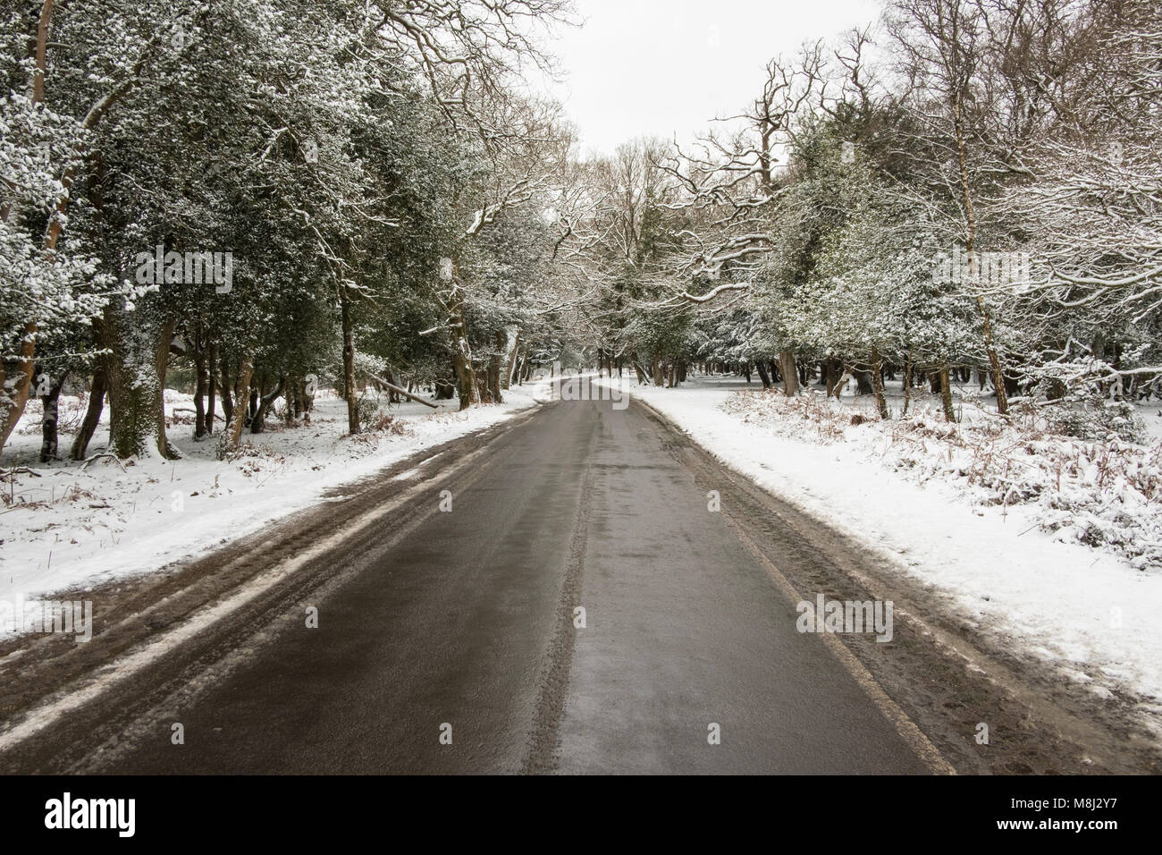 New Forest Hampshire 18th March 2018. beautiful snowy scenes in the New ...
