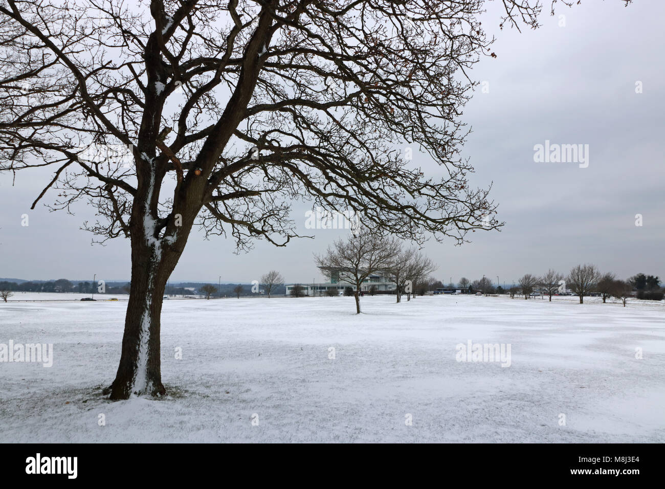 Epsom Downs, Surrey, England. 18th March 2018. An overnight covering of ...