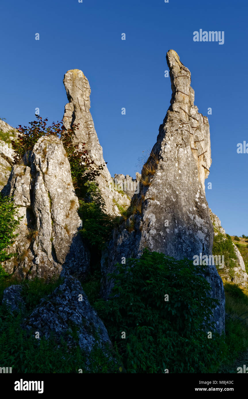 Rock formation "Steinerne Jungfrauen" (limestone) in the Eselsburger ...