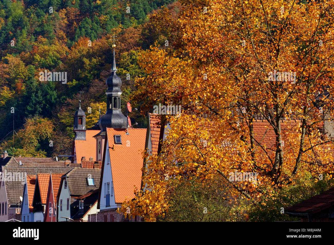Freudenberg germany hi-res stock photography and images - Alamy
